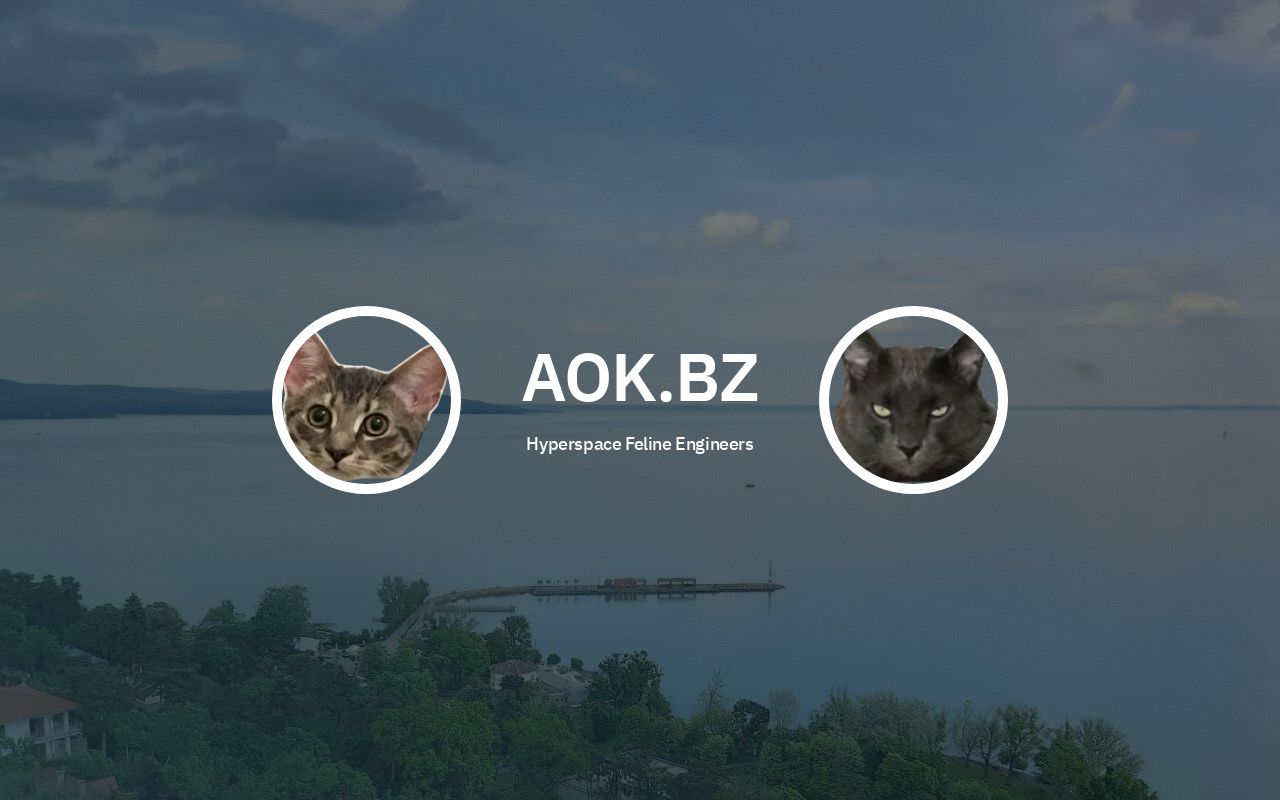 AOK.BZ